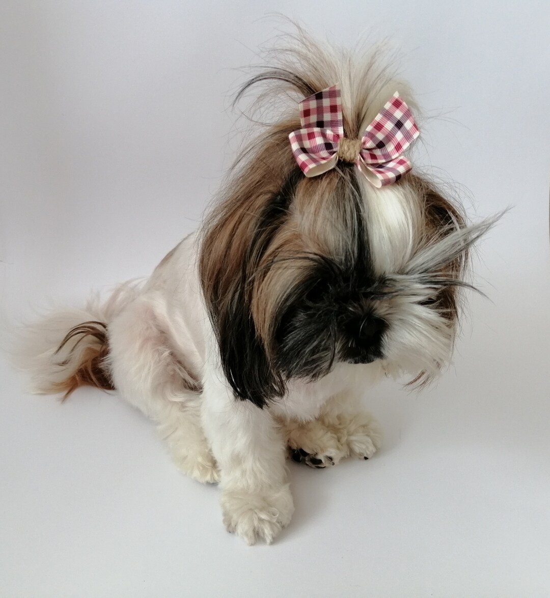 Bunny Ears Dog Hair Bows Set of 3 Tartan Hair Clips for Yorkie, Shih ...