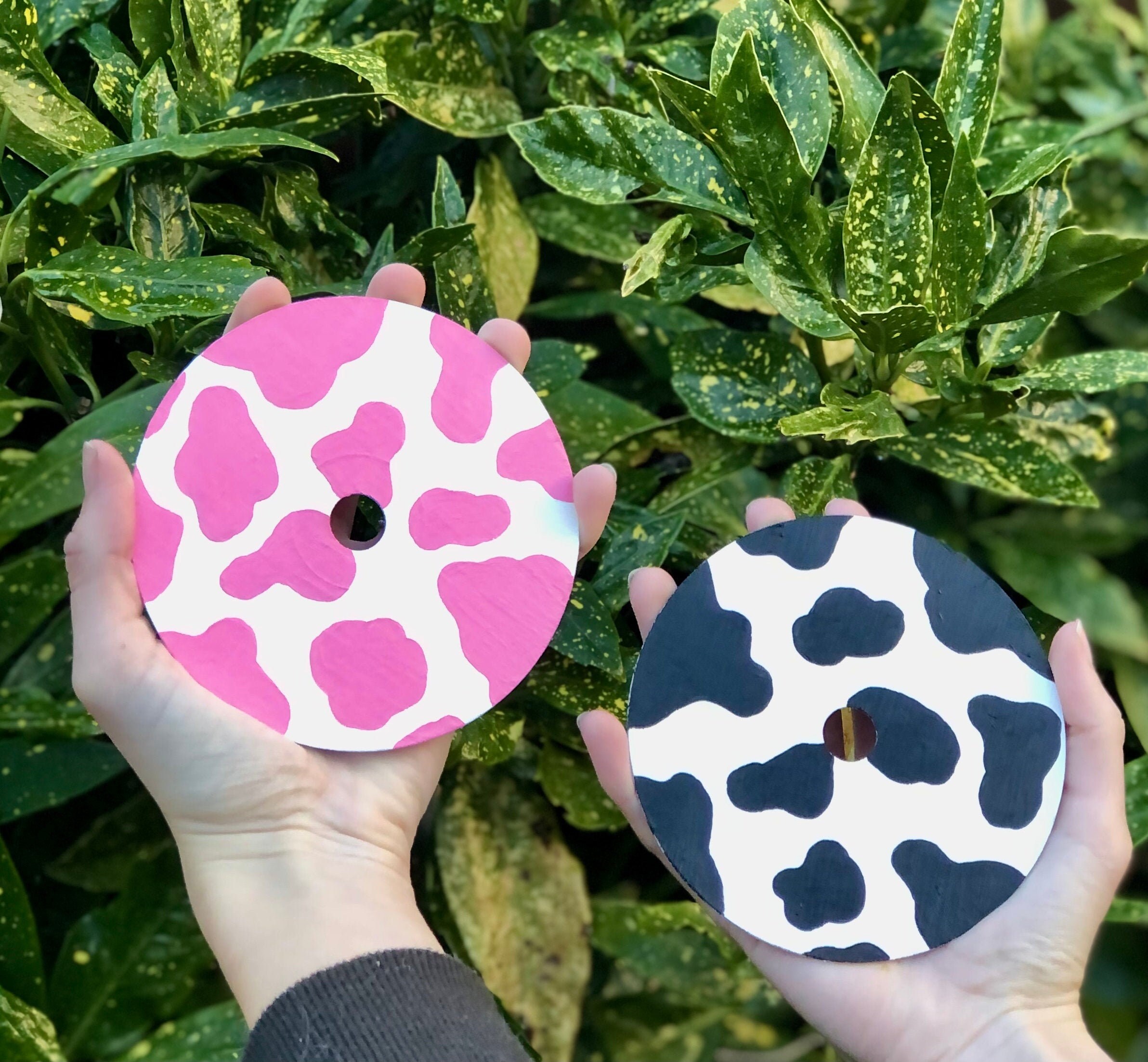 Cow Print Painted Cds - Etsy UK