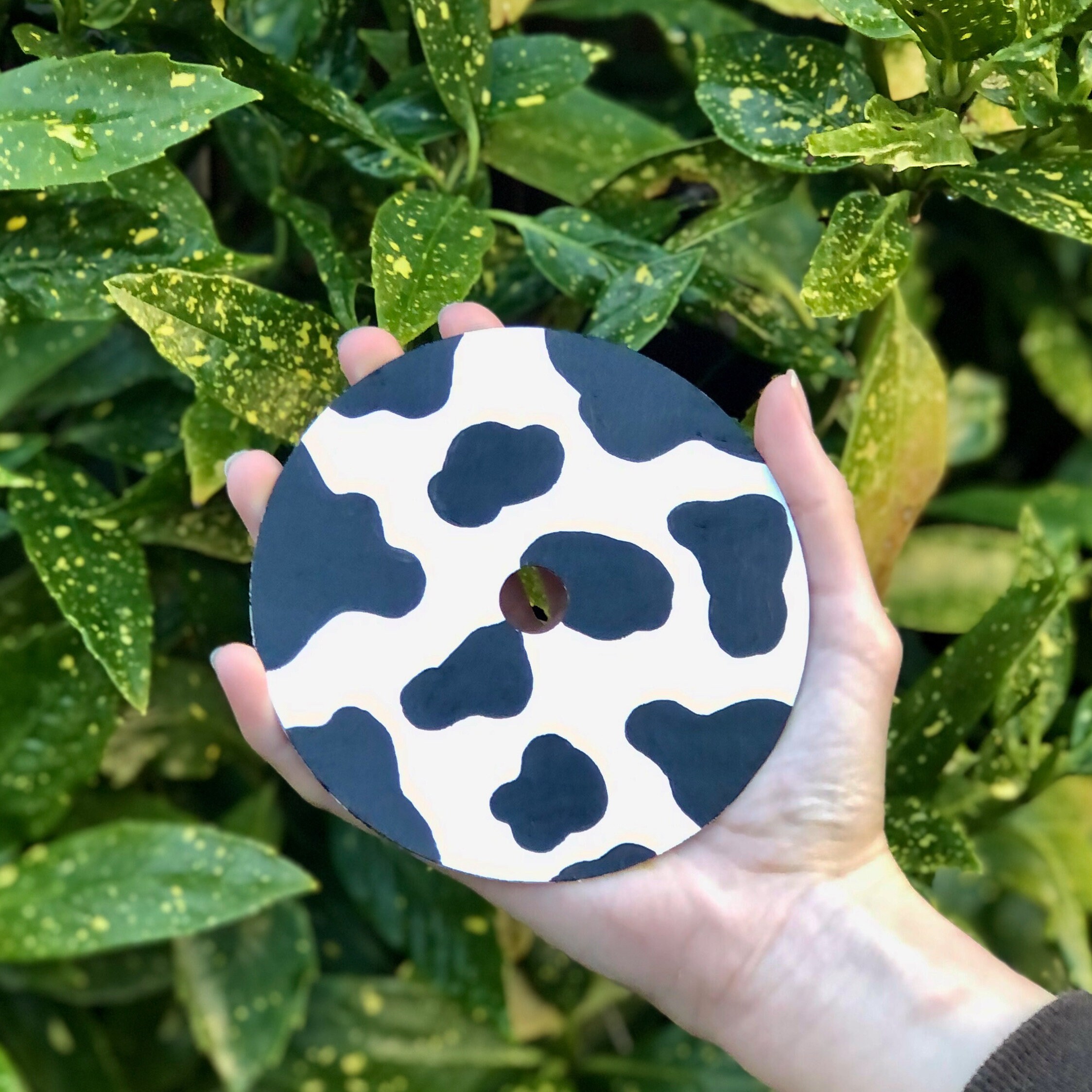 Cow Print Painted Cds - Etsy UK