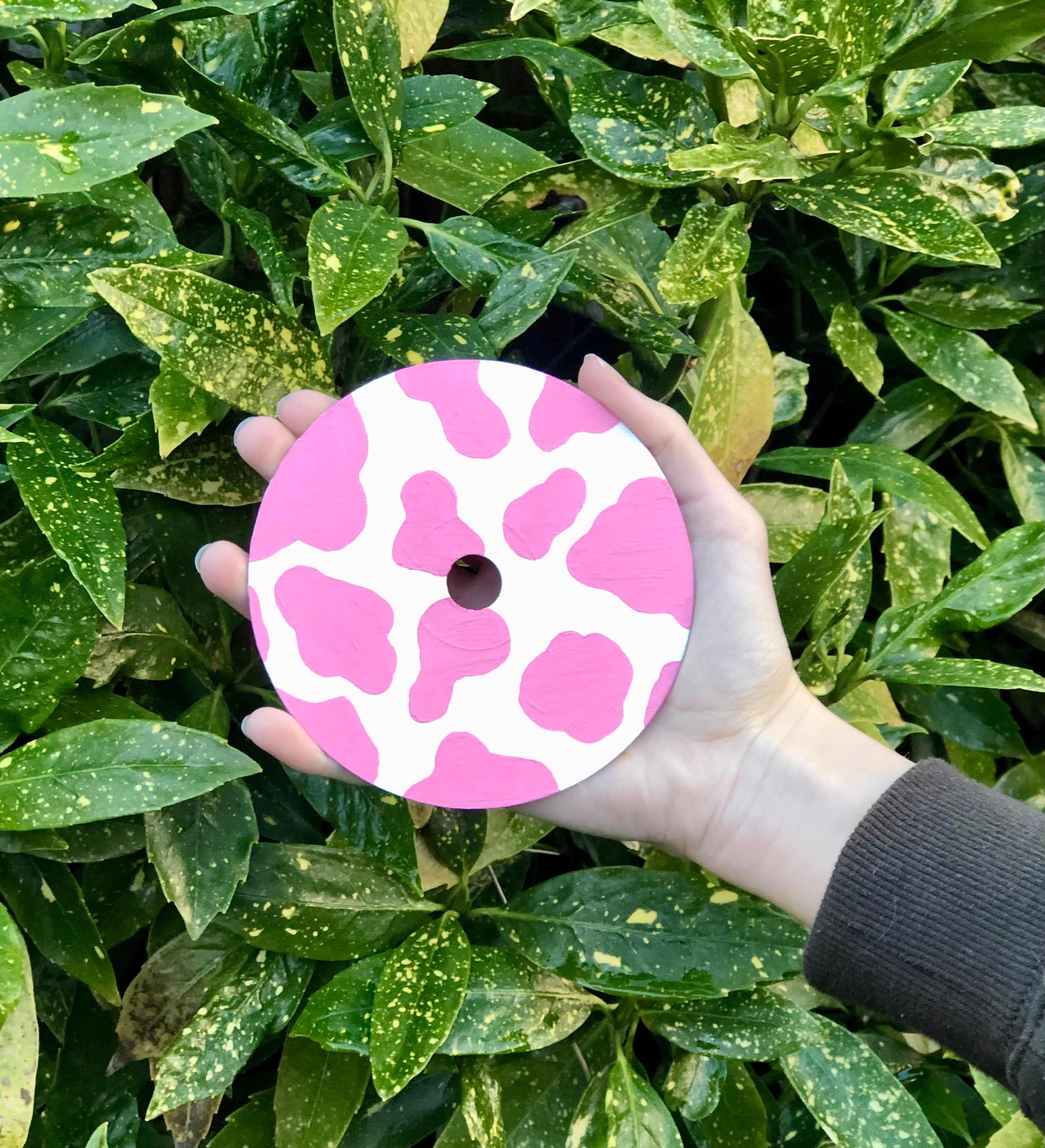Cow Print Painted Cds - Etsy UK