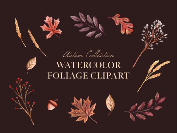 Fall Leaves Watercolor Clipart PNG Fall Foliage Hand - Etsy