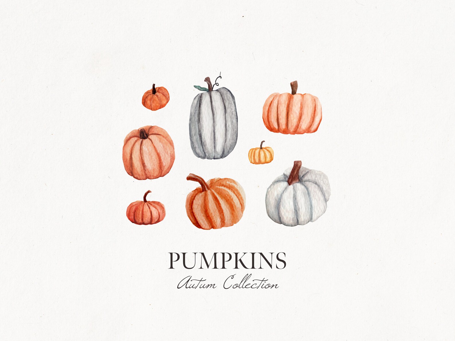 Fall Watercolor Clipart PNG Bundle Hand-painted Autumn Leaves, Gnomes ...
