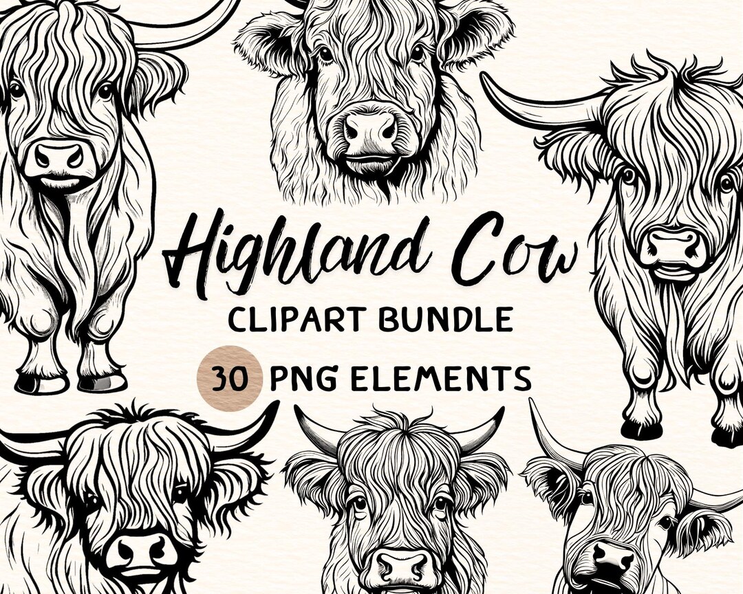 Highland Cow Clipart Bundle | Highland Cow Clipart | Highland Cow Png ...