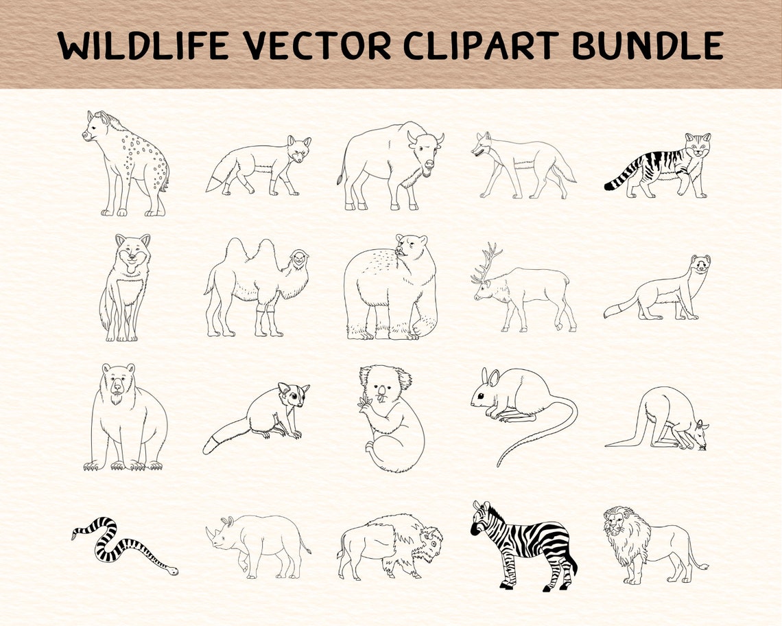Wildlife Vector Clipart Bundle Wildlife Vector Clipart Wildlife Clipart ...