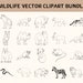 Wildlife Vector Clipart Bundle Wildlife Vector Clipart Wildlife Clipart ...