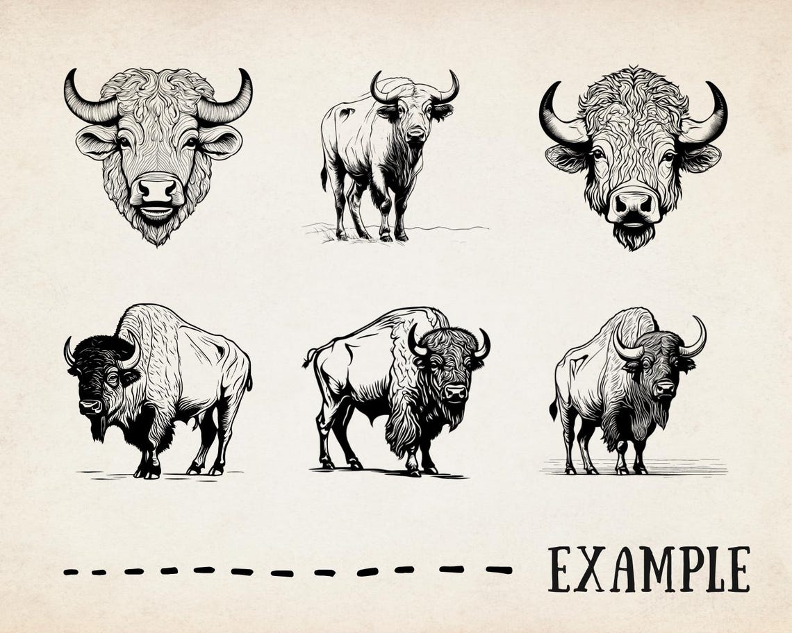 Buffalo Svg Bundle | Buffalo Svg Cut File | Buffalo Vector File ...