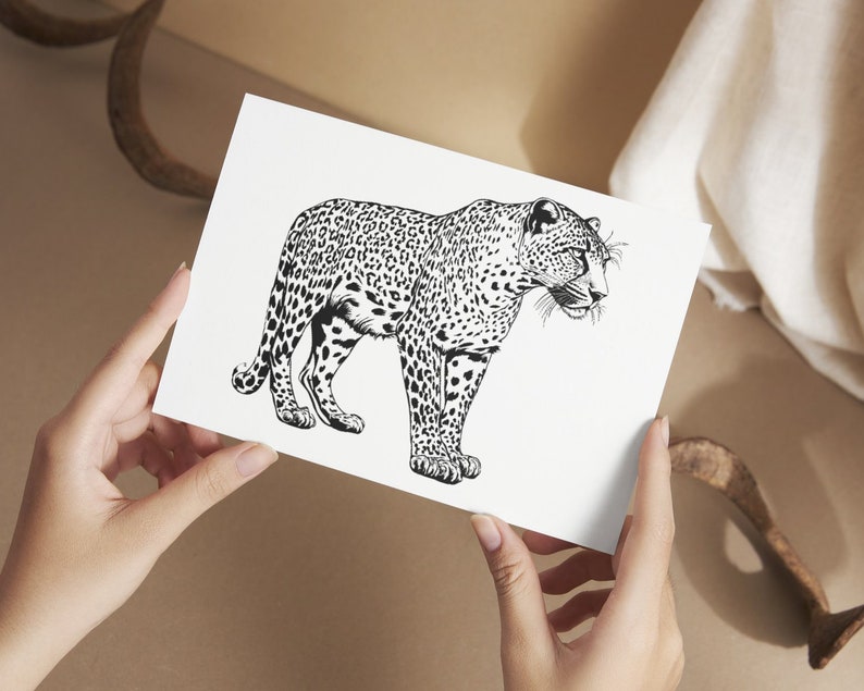 Leopard Clipart Bundle PNG, Safari Animal Graphics, Wild Cat Digital ...