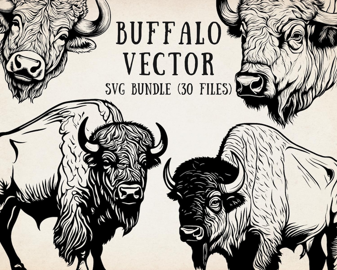 Buffalo Svg Bundle | Buffalo Svg Cut File | Buffalo Vector File ...