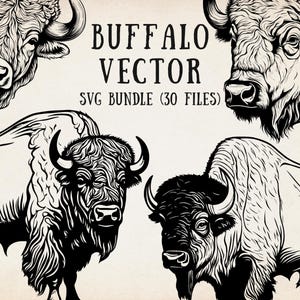 Buffalo Svg Bundle | Buffalo Svg Cut File | Buffalo Vector File ...