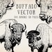 Buffalo Svg Bundle | Buffalo Svg Cut File | Buffalo Vector File ...