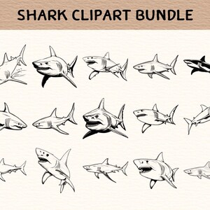 Shark Clipart Bundle | Shark Clipart | Shark Png | Shark Illustration ...