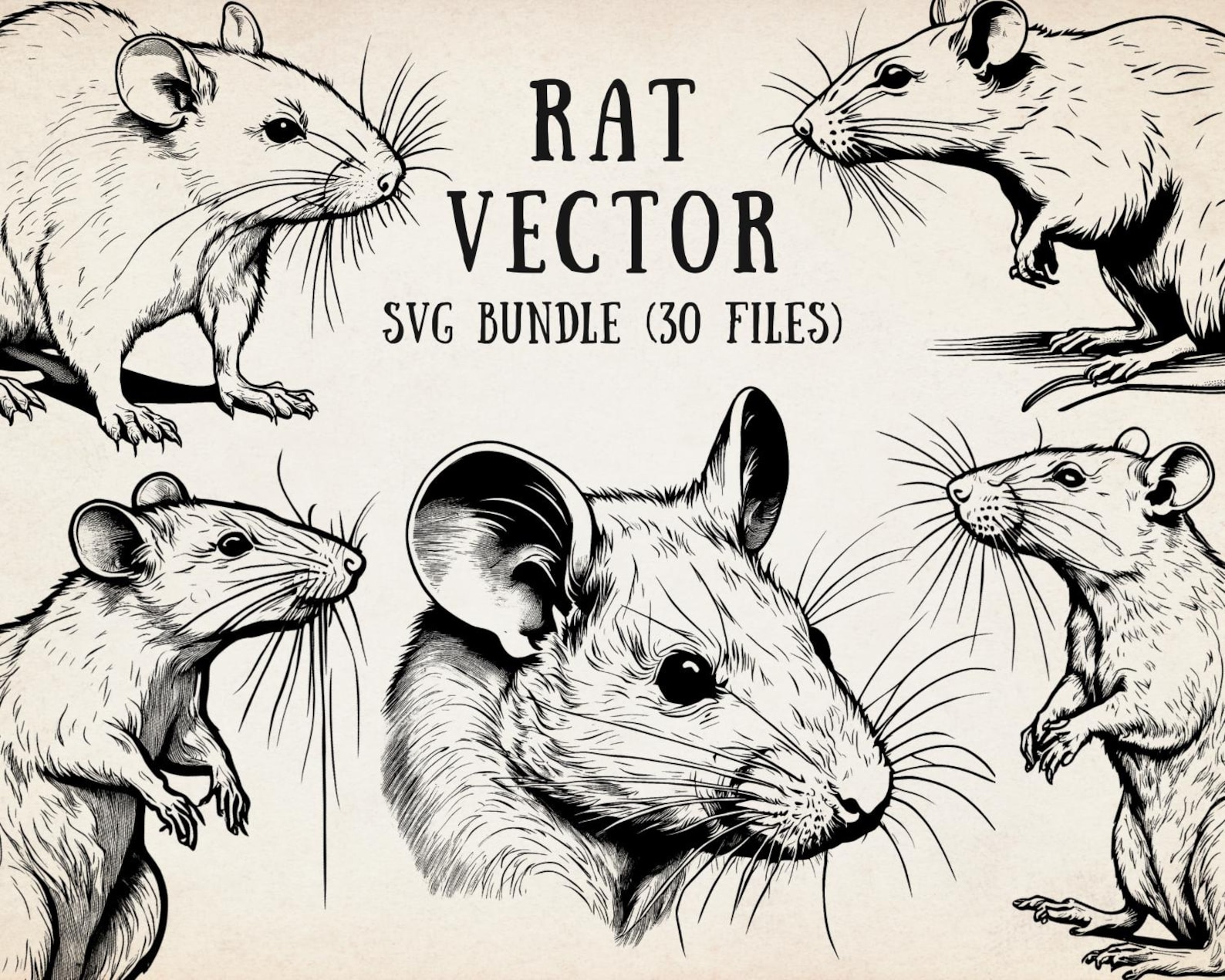 Rat Svg Bundle | Rat Svg Cut File | Rat Vector File | Silhouette Rat ...