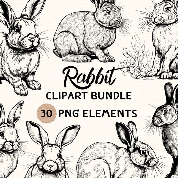 Rabbit Line Art - Etsy