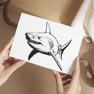 Shark Clipart Bundle | Shark Clipart | Shark Png | Shark Illustration ...