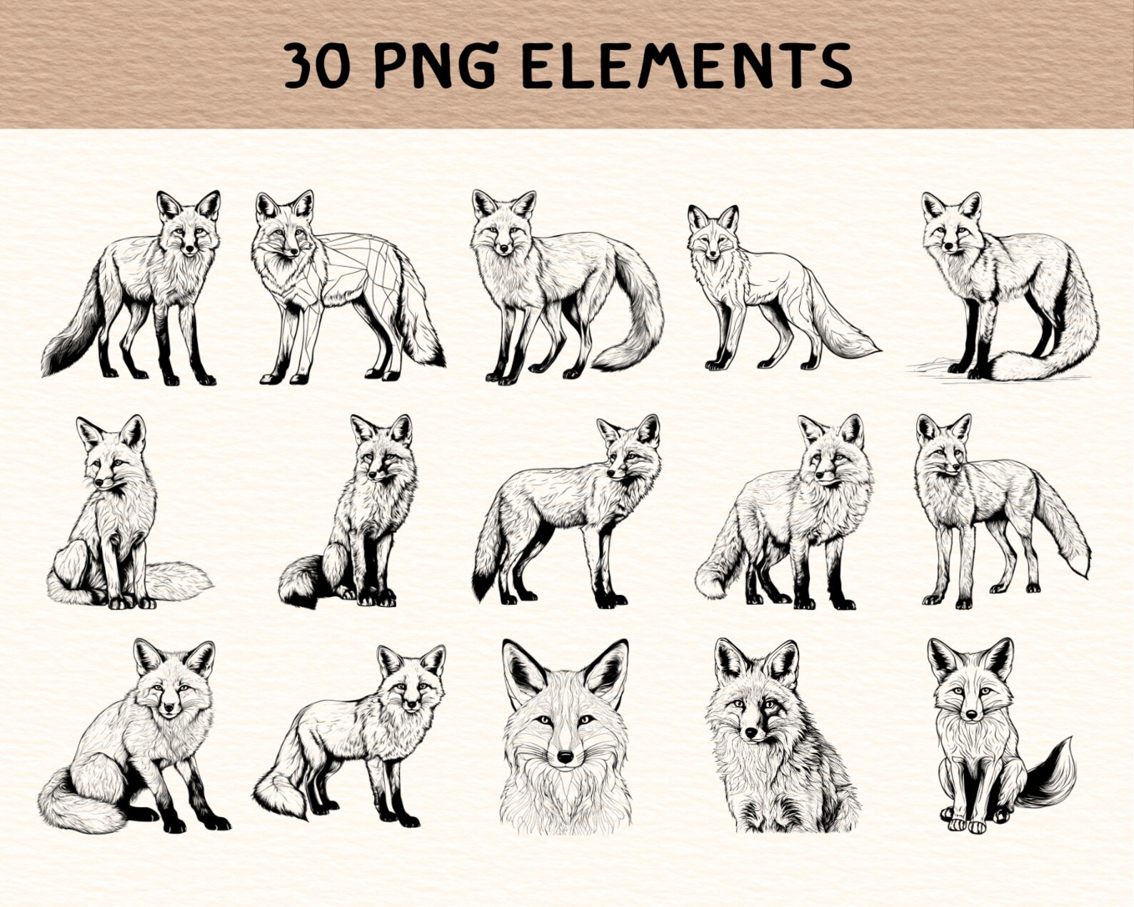 Fox Clipart Bundle | Fox Clipart | Fox Png | Fox Illustration | Fox ...