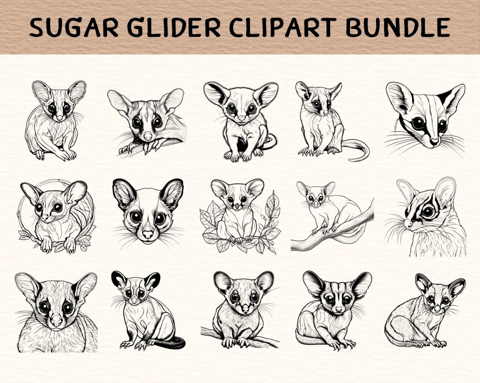 Sugar Glider Clipart Bundle | Sugar Glider Clipart | Sugar Glider Png ...
