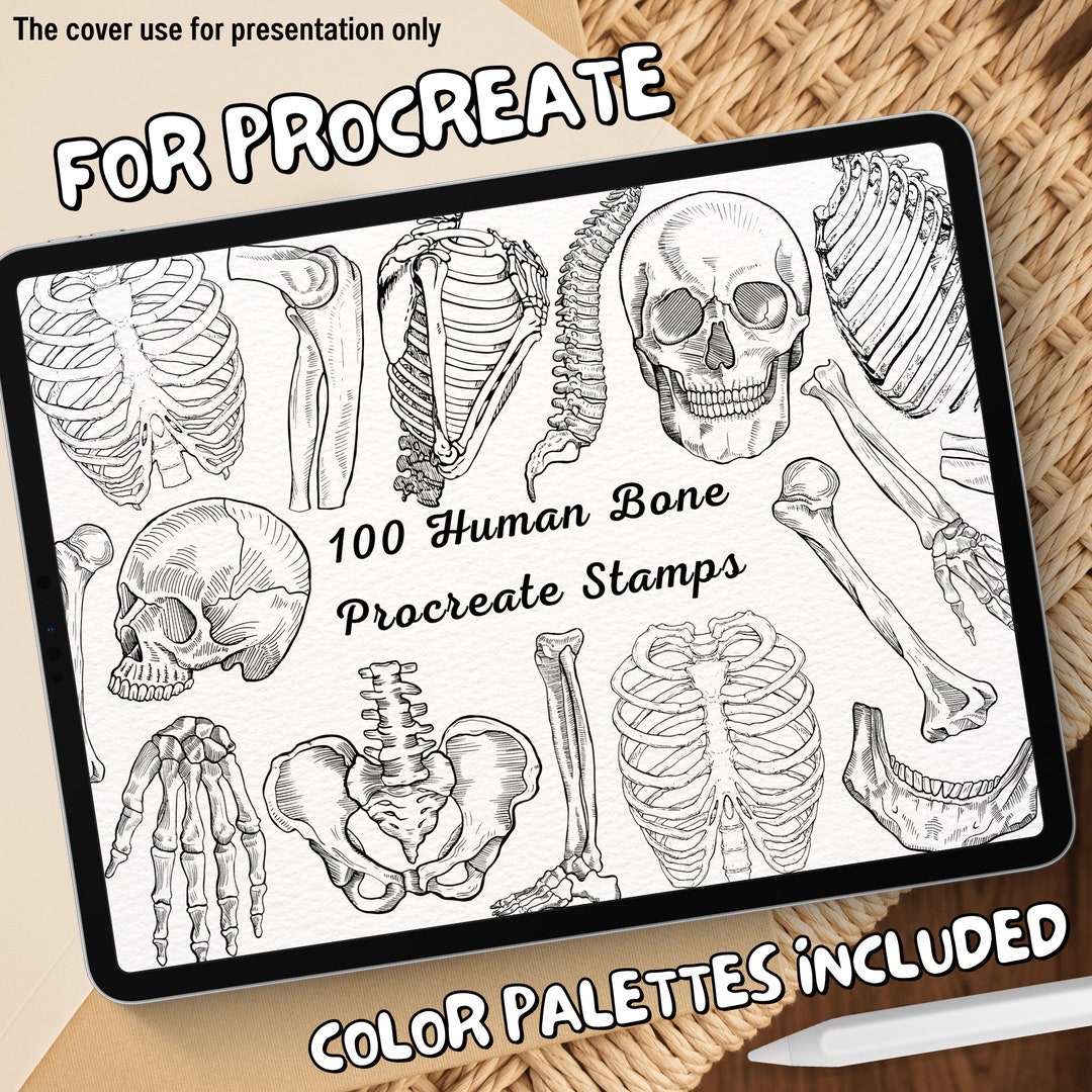 100 Human Bone Brush Stamps | Procreate Human Bone Brush Stamps | Human ...