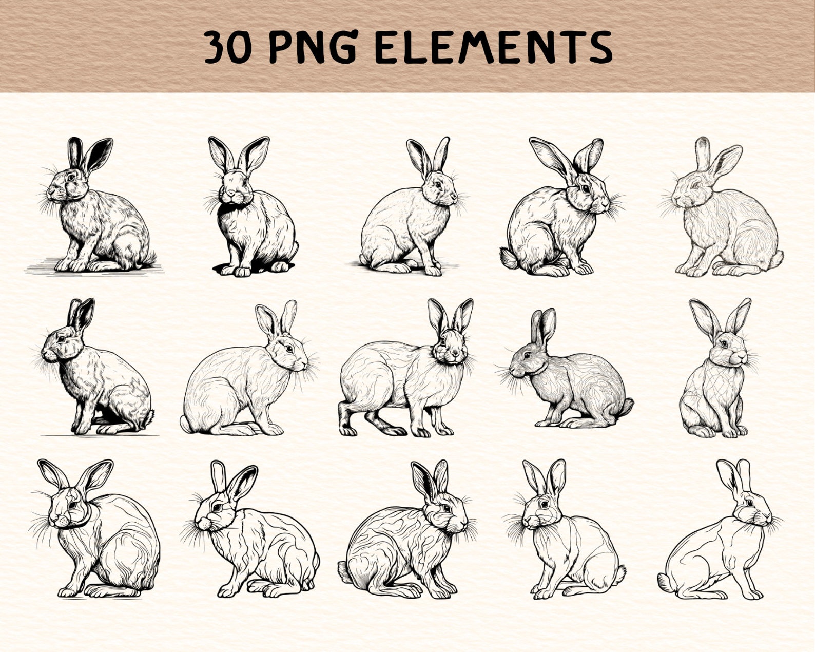 Rabbit Clipart Bundle Rabbit Clipart Rabbit Png Rabbit Illustration ...