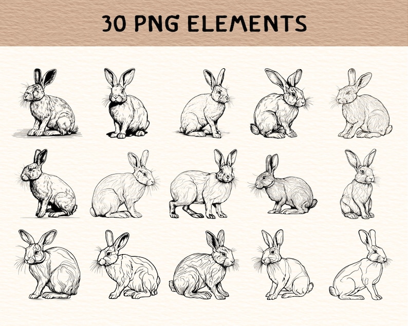 Rabbit Clipart Bundle Rabbit Clipart Rabbit Png Rabbit Illustration ...
