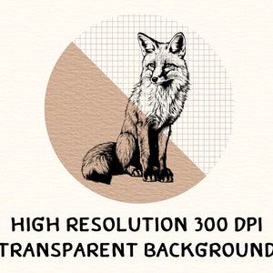 Fox Clipart Bundle | Fox Clipart | Fox Png | Fox Illustration | Fox ...