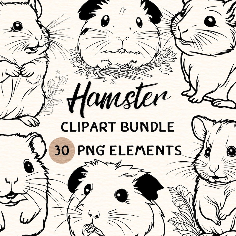 Line Drawing Hamster - Etsy