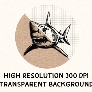 Shark Clipart Bundle | Shark Clipart | Shark Png | Shark Illustration ...