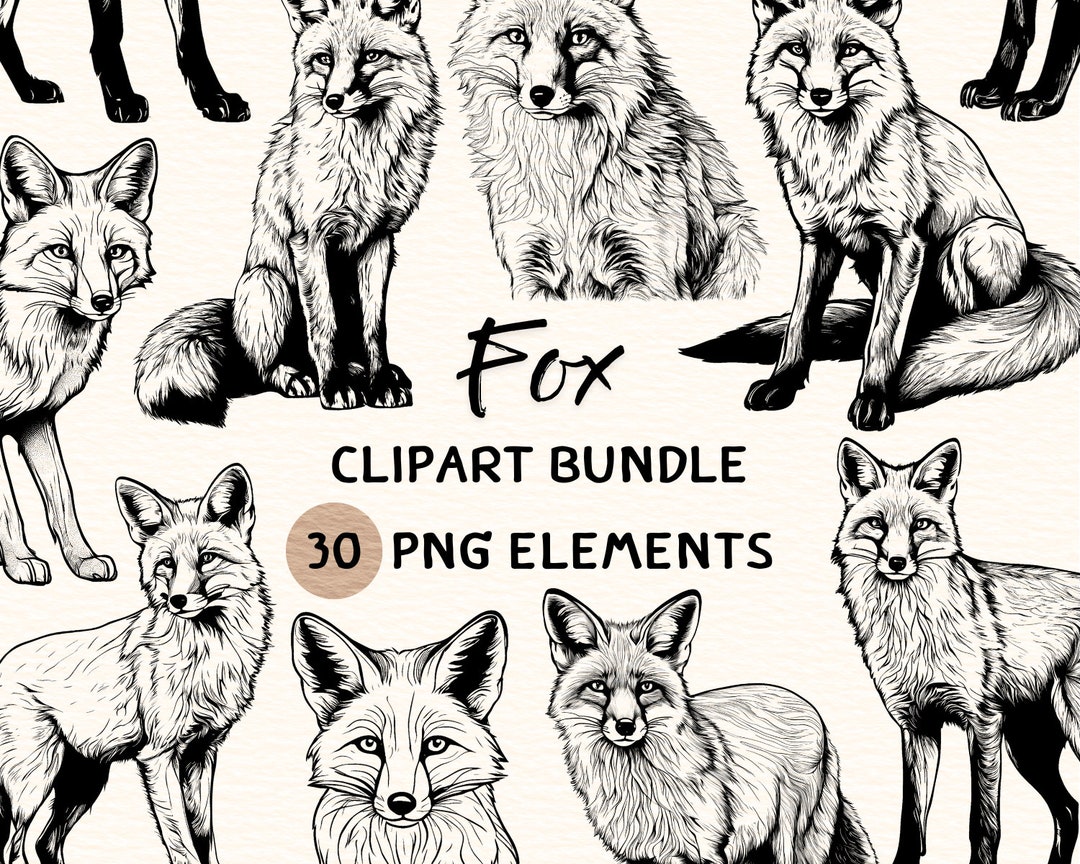 Fox Clipart Bundle | Fox Clipart | Fox Png | Fox Illustration | Fox ...