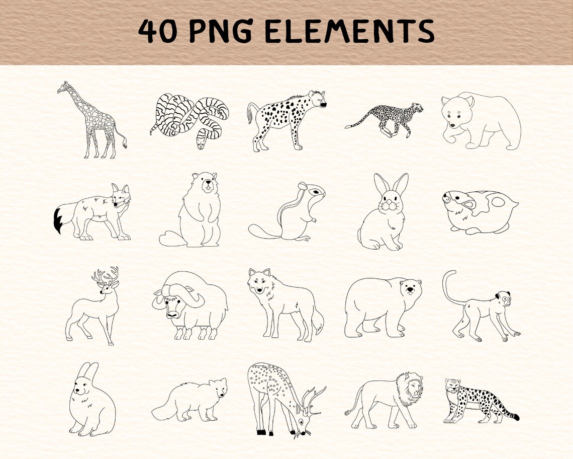 Wildlife Vector Clipart Bundle Wildlife Vector Clipart Wildlife Clipart ...