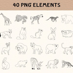 Wildlife Vector Clipart Bundle | Wildlife Vector Clipart | Wildlife ...