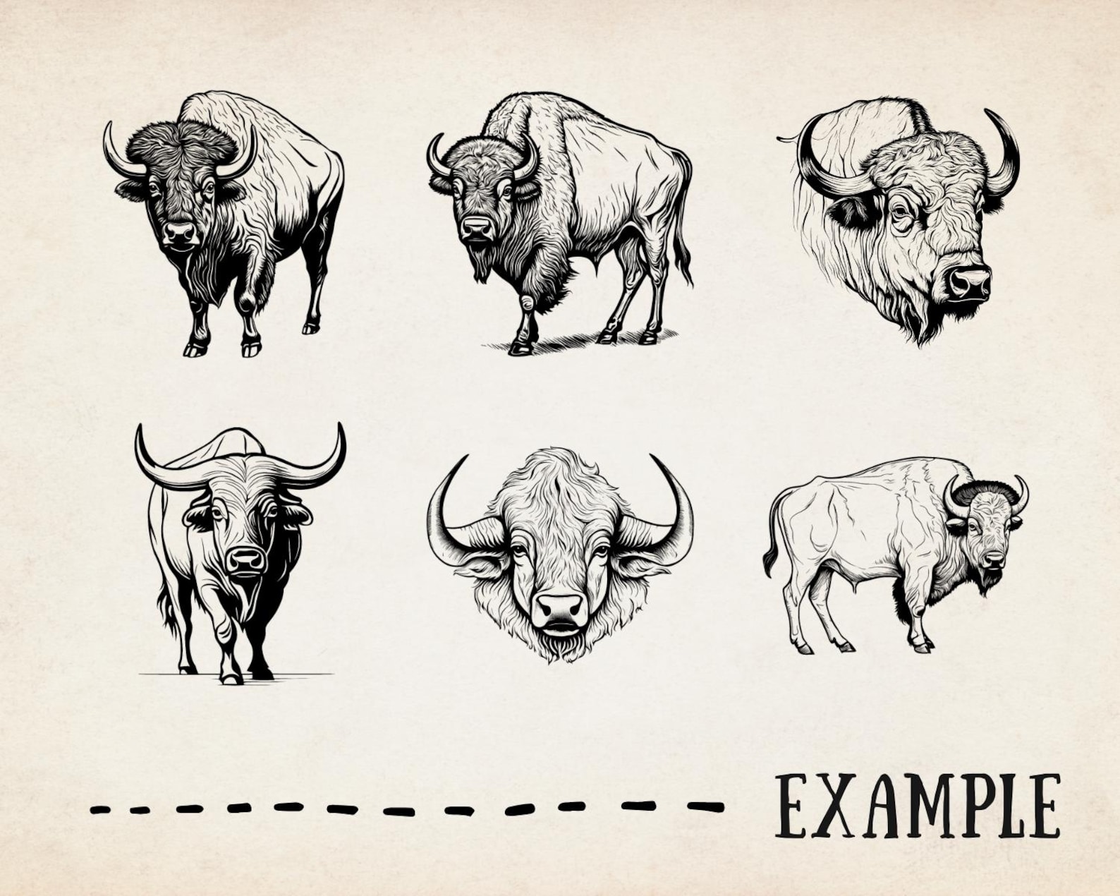 Buffalo Svg Bundle | Buffalo Svg Cut File | Buffalo Vector File ...