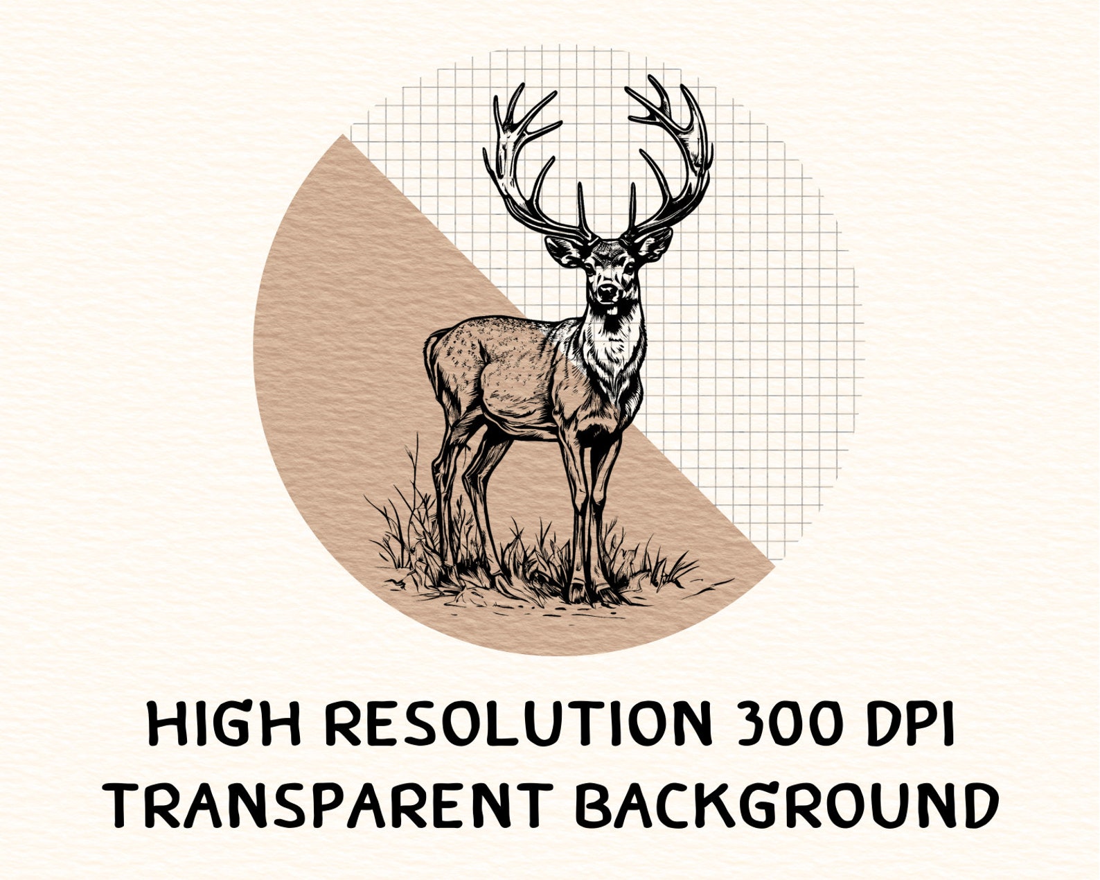 Deer Clipart Bundle | Deer Clipart | Deer Png | Deer Illustration ...