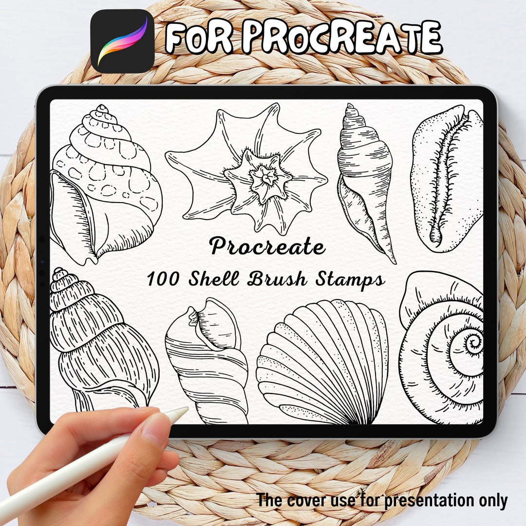 100 Shell Brush Stamps | Procreate Shell Brush Stamps | Shell Procreate ...