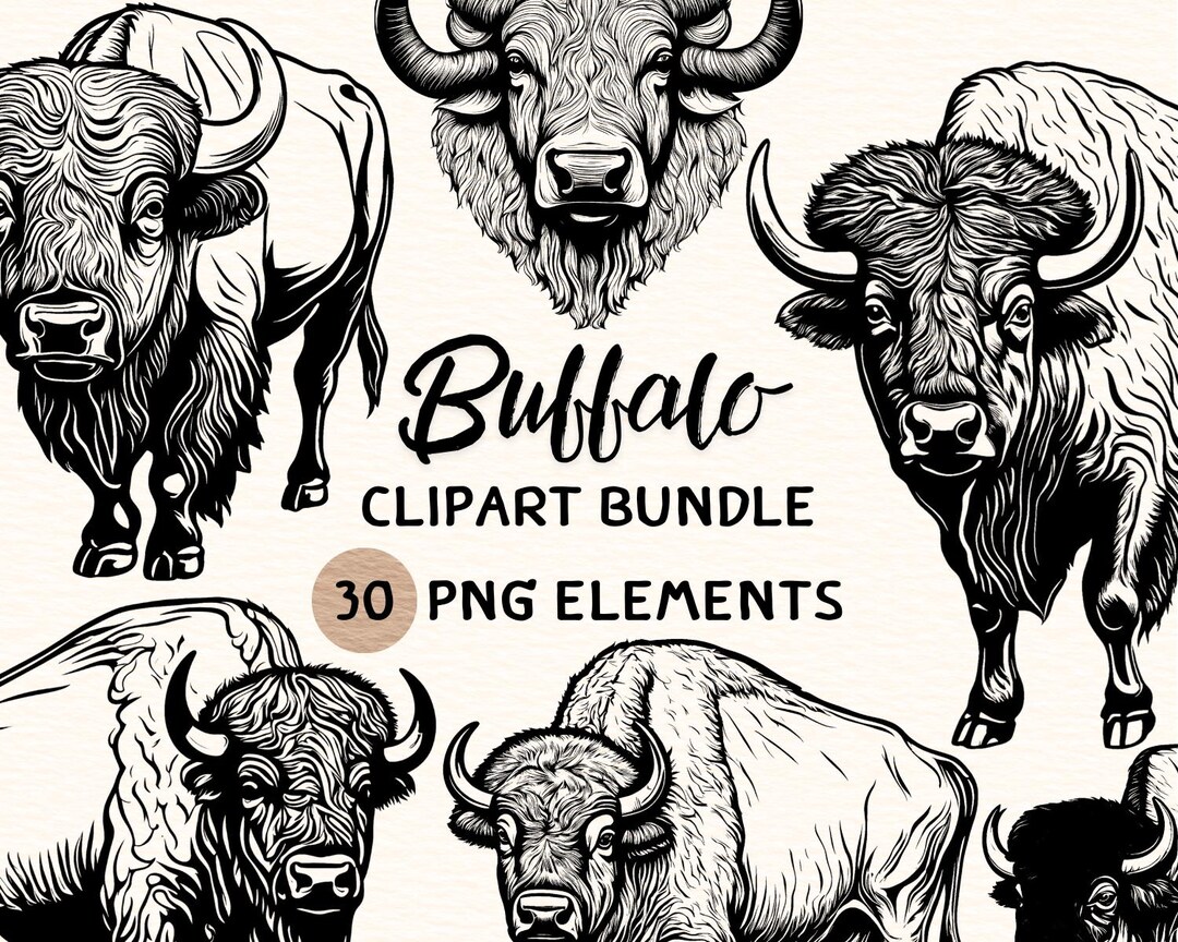 Buffalo Clipart Bundle | Buffalo Clipart | Buffalo Png | Buffalo ...