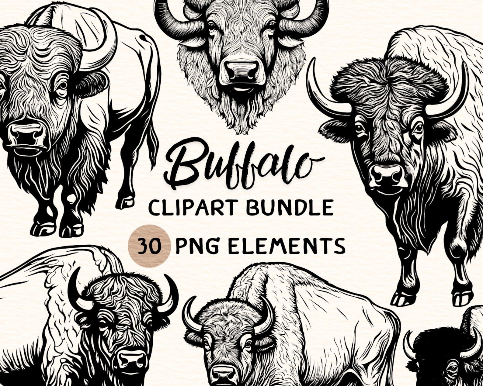 Buffalo Clipart Bundle | Buffalo Clipart | Buffalo Png | Buffalo ...