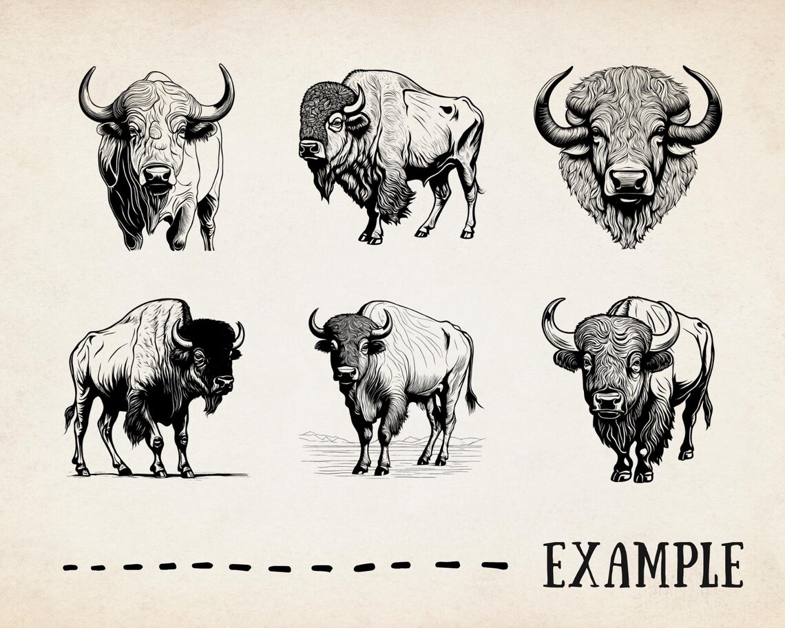 Buffalo Svg Bundle | Buffalo Svg Cut File | Buffalo Vector File ...
