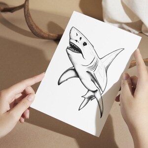 Shark Clipart Bundle | Shark Clipart | Shark Png | Shark Illustration ...