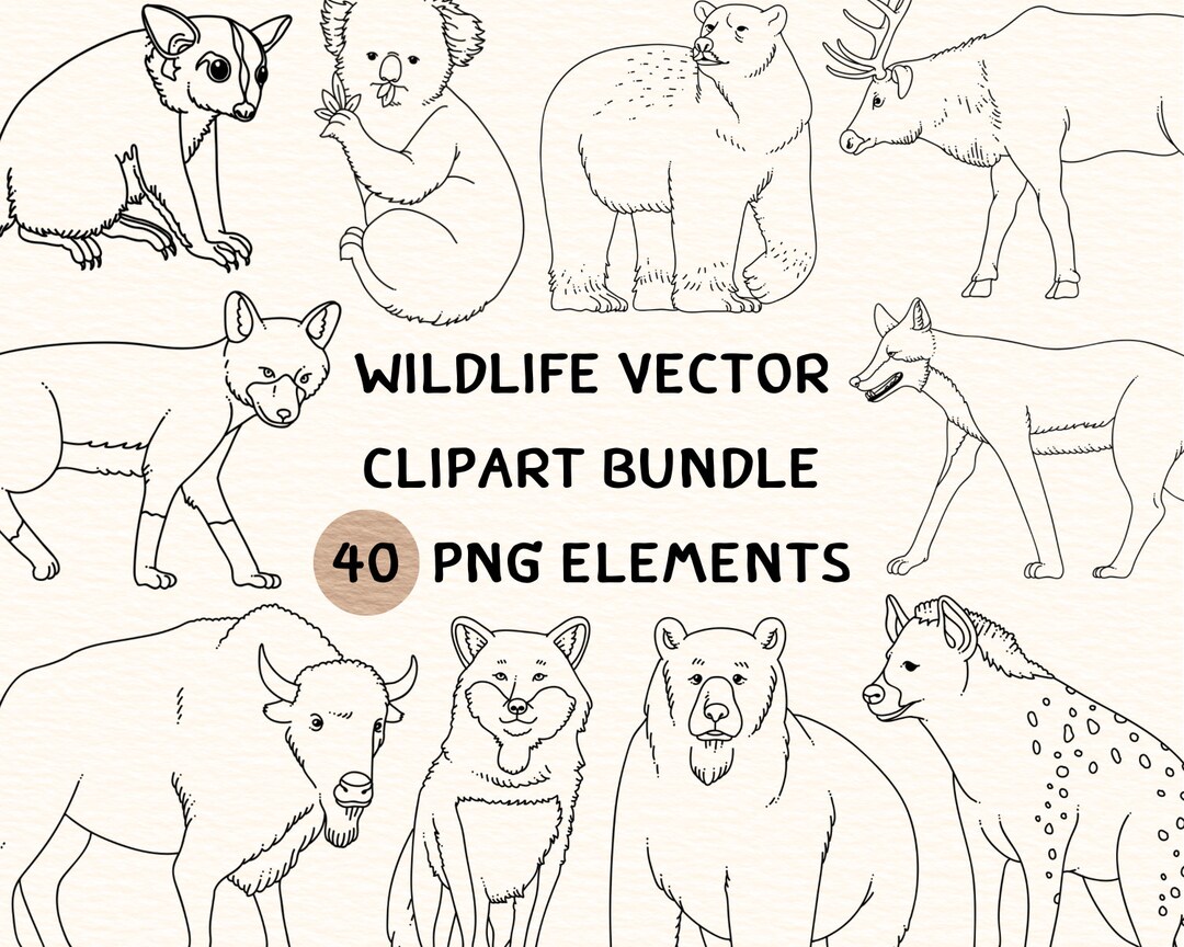 Wildlife Vector Clipart Bundle | Wildlife Vector Clipart | Wildlife ...