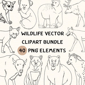 Wildlife Vector Clipart Bundle | Wildlife Vector Clipart | Wildlife ...