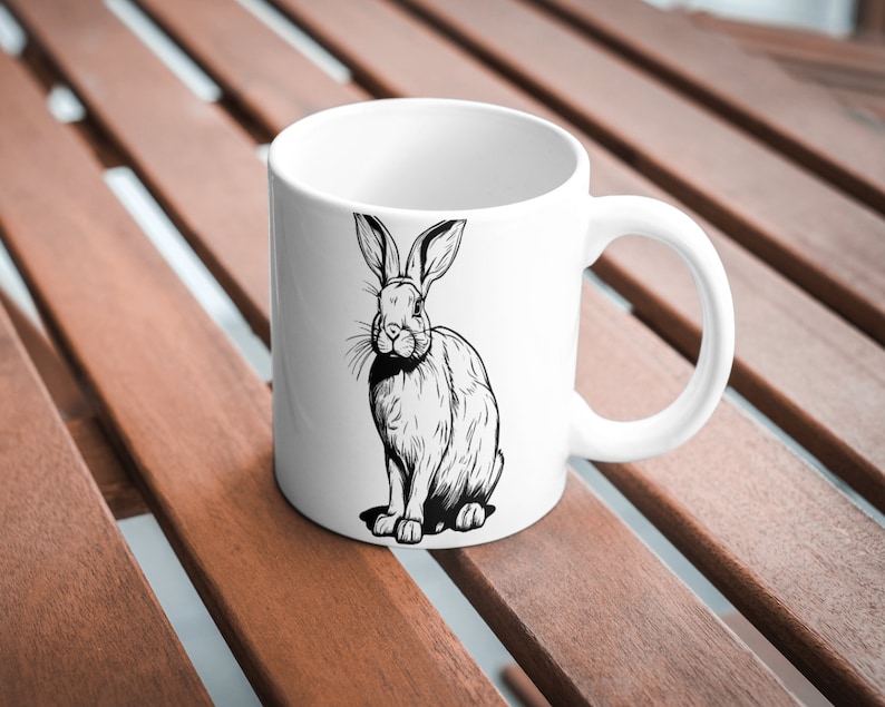 Rabbit Clipart Bundle Rabbit Clipart Rabbit Png Rabbit Illustration ...