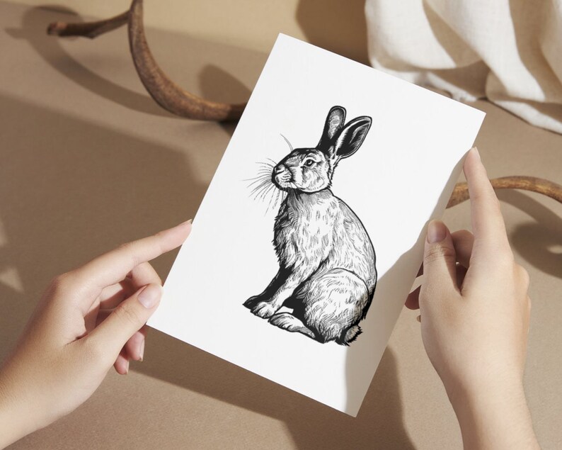 Rabbit Clipart Bundle Rabbit Clipart Rabbit Png Rabbit Illustration ...