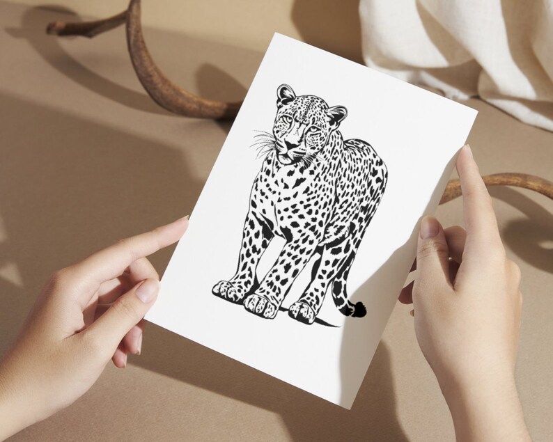Leopard Clipart Bundle PNG, Safari Animal Graphics, Wild Cat Digital ...