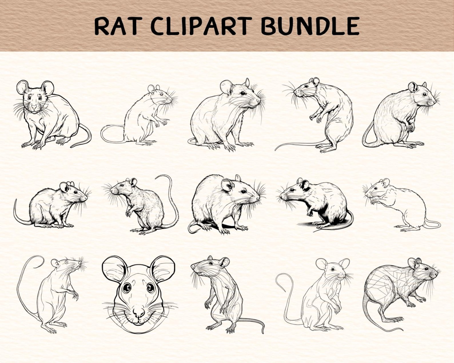 Rat Clipart Bundle | Rat Clipart | Rat Png | Rat Illustration | Rat ...