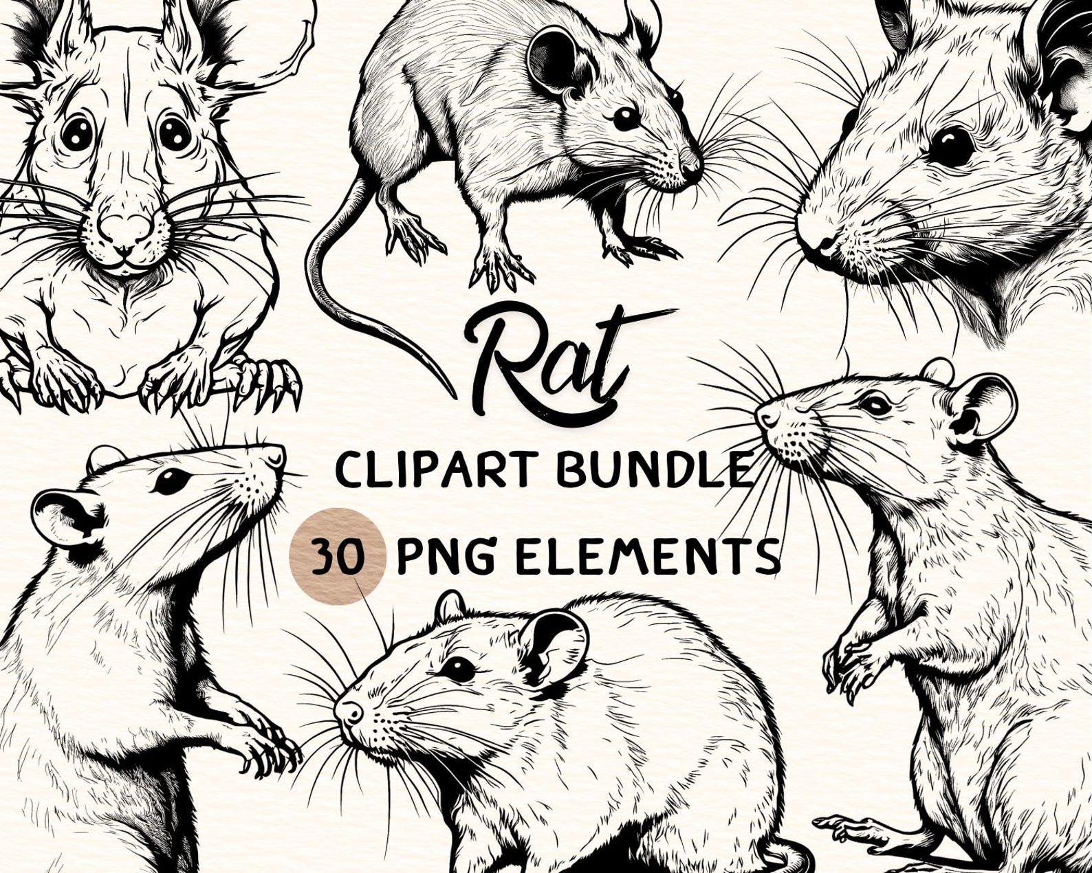 Rat Clipart Bundle | Rat Clipart | Rat Png | Rat Illustration | Rat ...