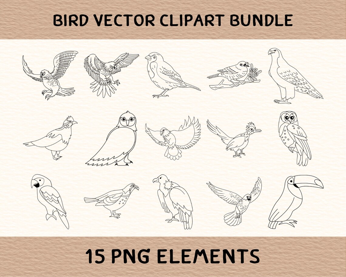 Bird Vector Clipart Bundle Bird Vector Clipart Bird Clipart Bird Png ...