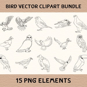 Bird Vector Clipart Bundle | Bird Vector Clipart | Bird Clipart | Bird Png Clipart | Bird Png ...