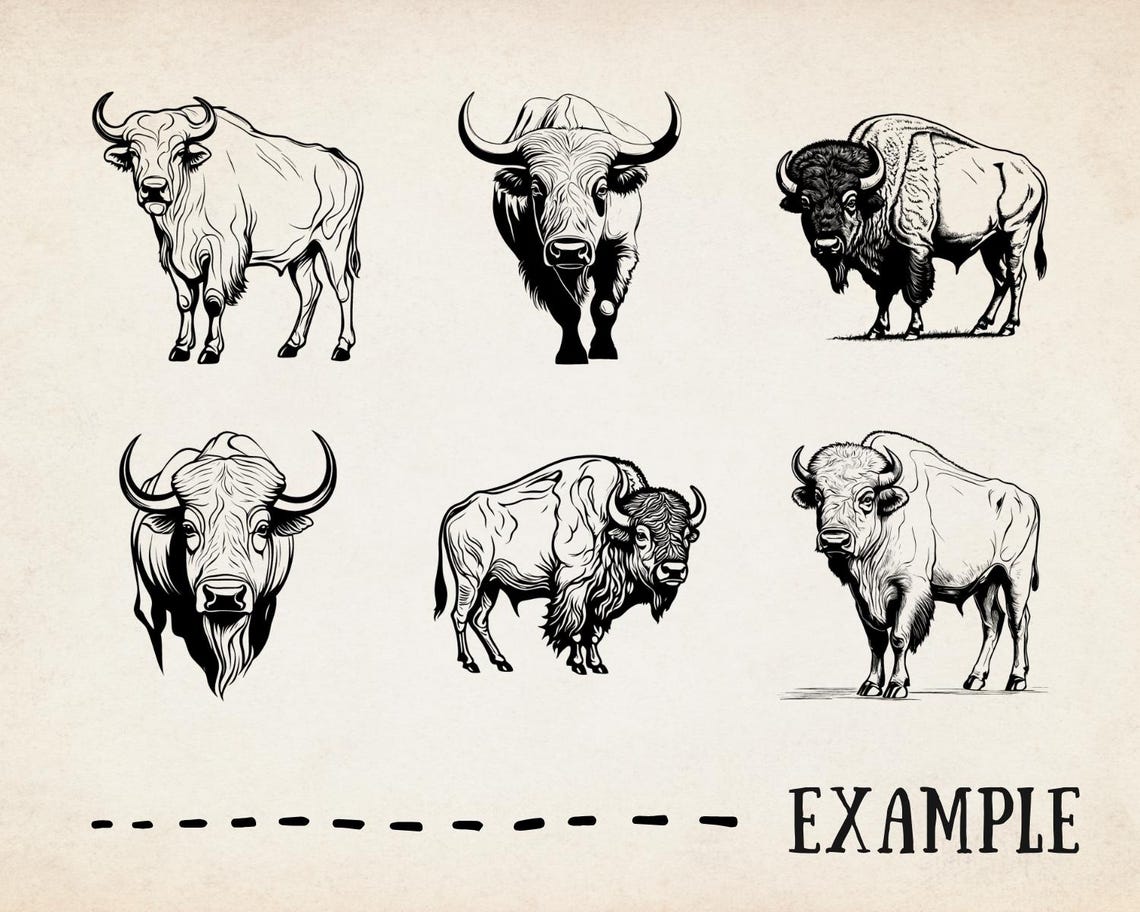 Buffalo Svg Bundle | Buffalo Svg Cut File | Buffalo Vector File ...