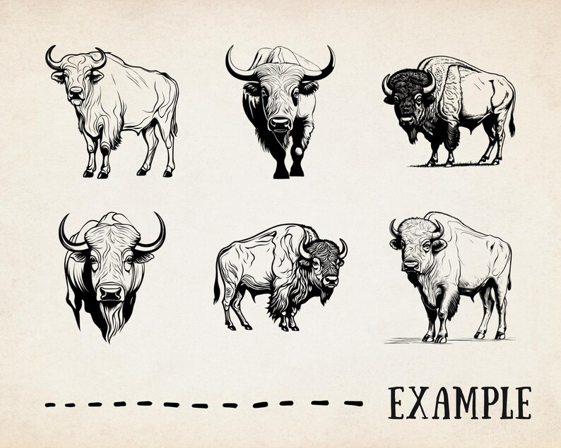 Buffalo Svg Bundle | Buffalo Svg Cut File | Buffalo Vector File ...