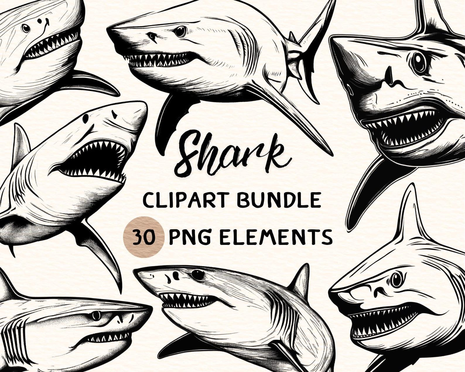 Shark Clipart Bundle | Shark Clipart | Shark Png | Shark Illustration ...