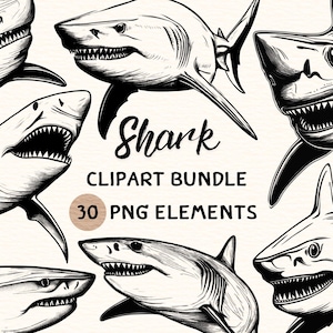 Shark Clipart Bundle | Shark Clipart | Shark Png | Shark Illustration ...