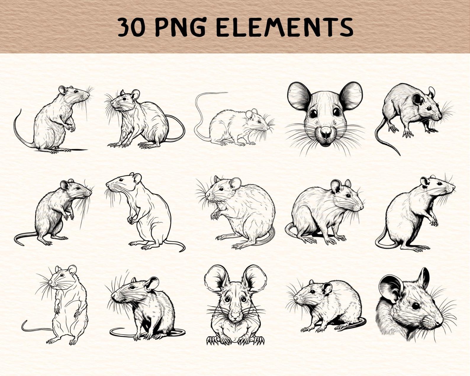 Rat Clipart Bundle | Rat Clipart | Rat Png | Rat Illustration | Rat ...